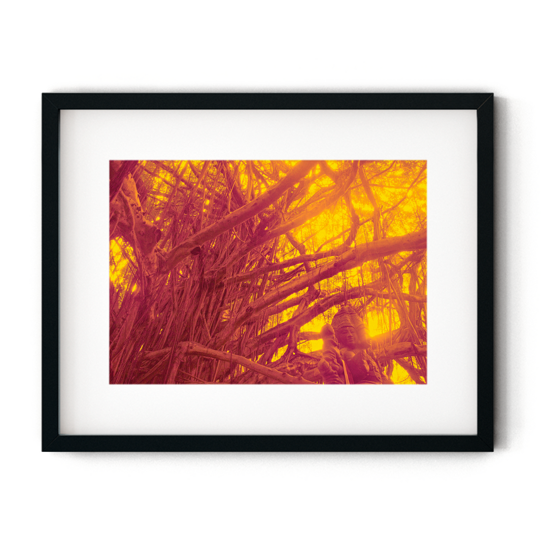 Kakoo Maui Photography Kiikau Printers